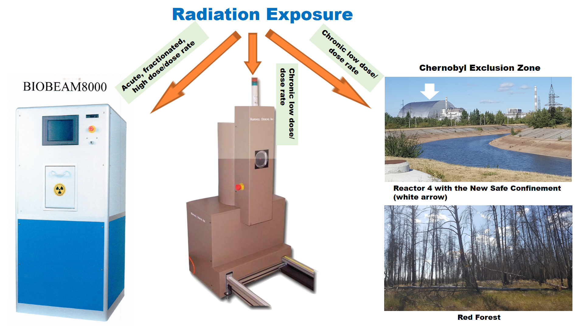 Radiation Physiology – NUS Singapore Nuclear Research and Safety Institute