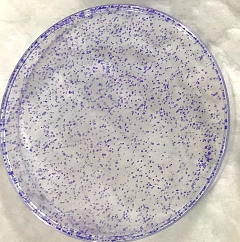 Bioindicators – NUS Singapore Nuclear Research and Safety Initiative