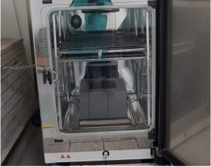 Radiobiology – NUS Singapore Nuclear Research and Safety Initiative